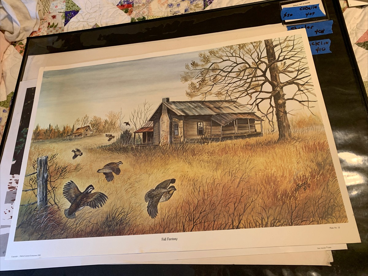 Tim Pafford's Instagram, Twitter & Facebook on IDCrawl