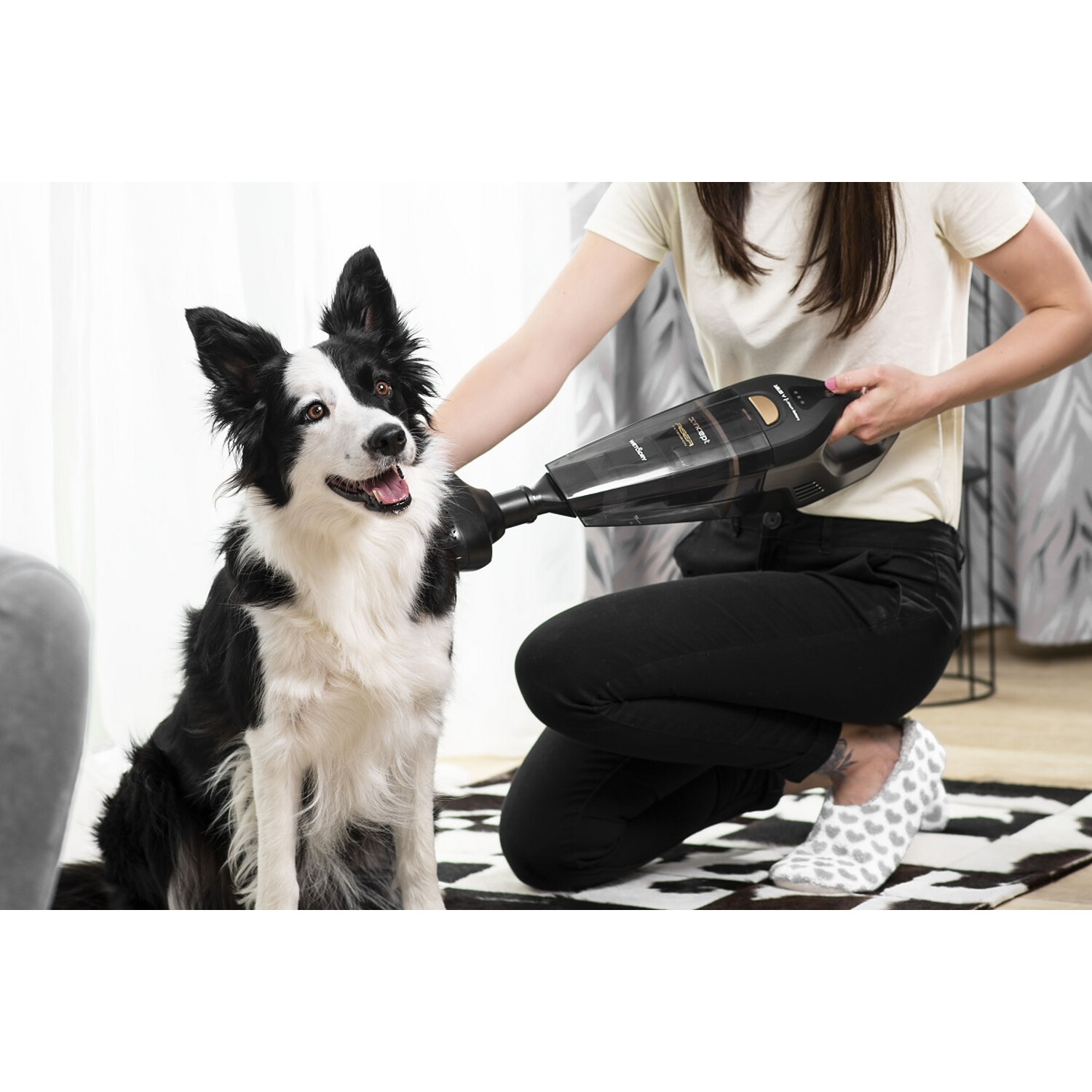 Cordless Hand Vacuum Cleaner Handheld Portable Car Fur Wet Dry ...