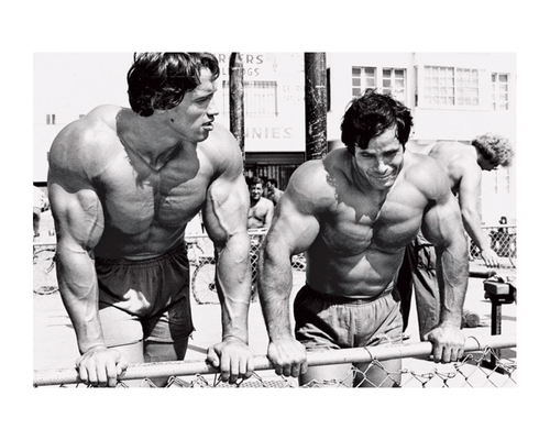 Arnold and Franco Workout Bodybuilding Poster Canvas Print Wall Decor ...