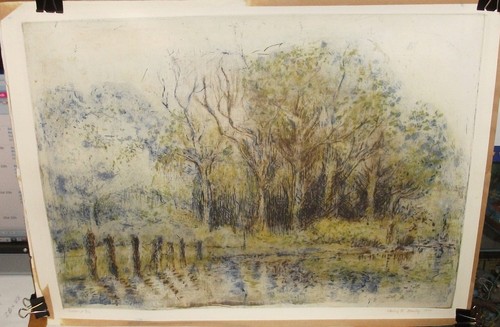 NANCY BANDY "SWAMP" LIMITED EDITION COLOR ETCHING DATED 1972 | eBay