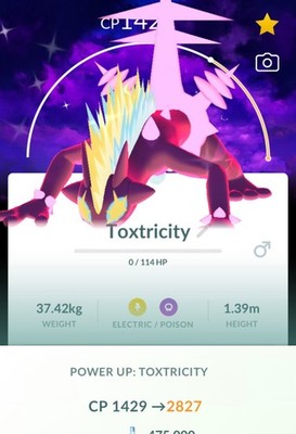 SHINY GIGANTAMAX TOXTRICITY LOW KEY DARK S BACKGROUND - 3 MOVES - LV 50 ...