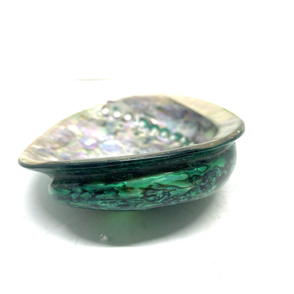 Vintage Mid Century Large Abalone Shell Bowl Ashtray Lucite Exterior 6 ...