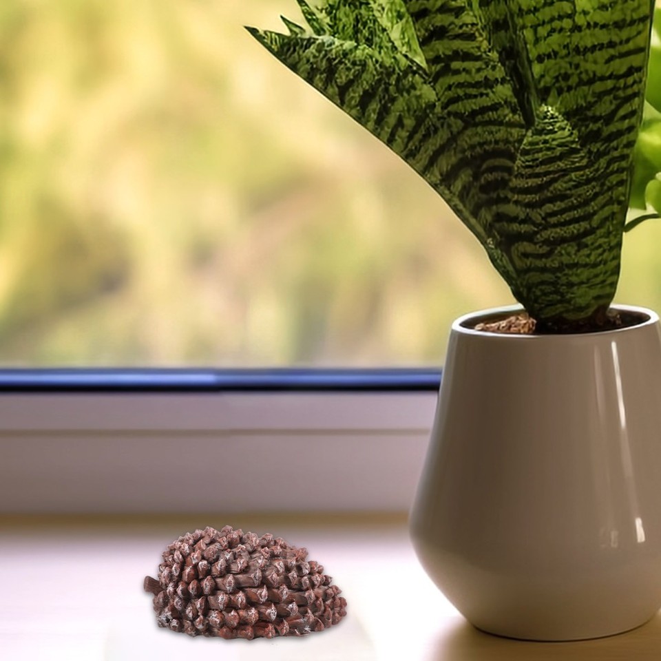 Keys Hider Fake Pine Cone Shape Key Security Safe Box Simulation Key ...