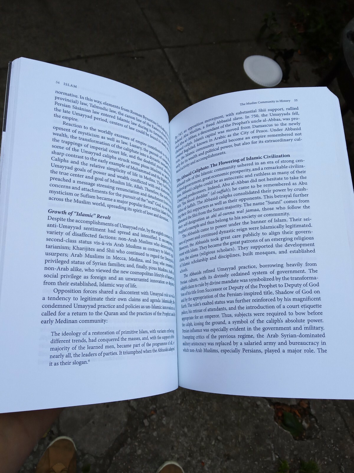 Islam : The Straight Path by John L. Esposito (2010, Trade Paperback ...