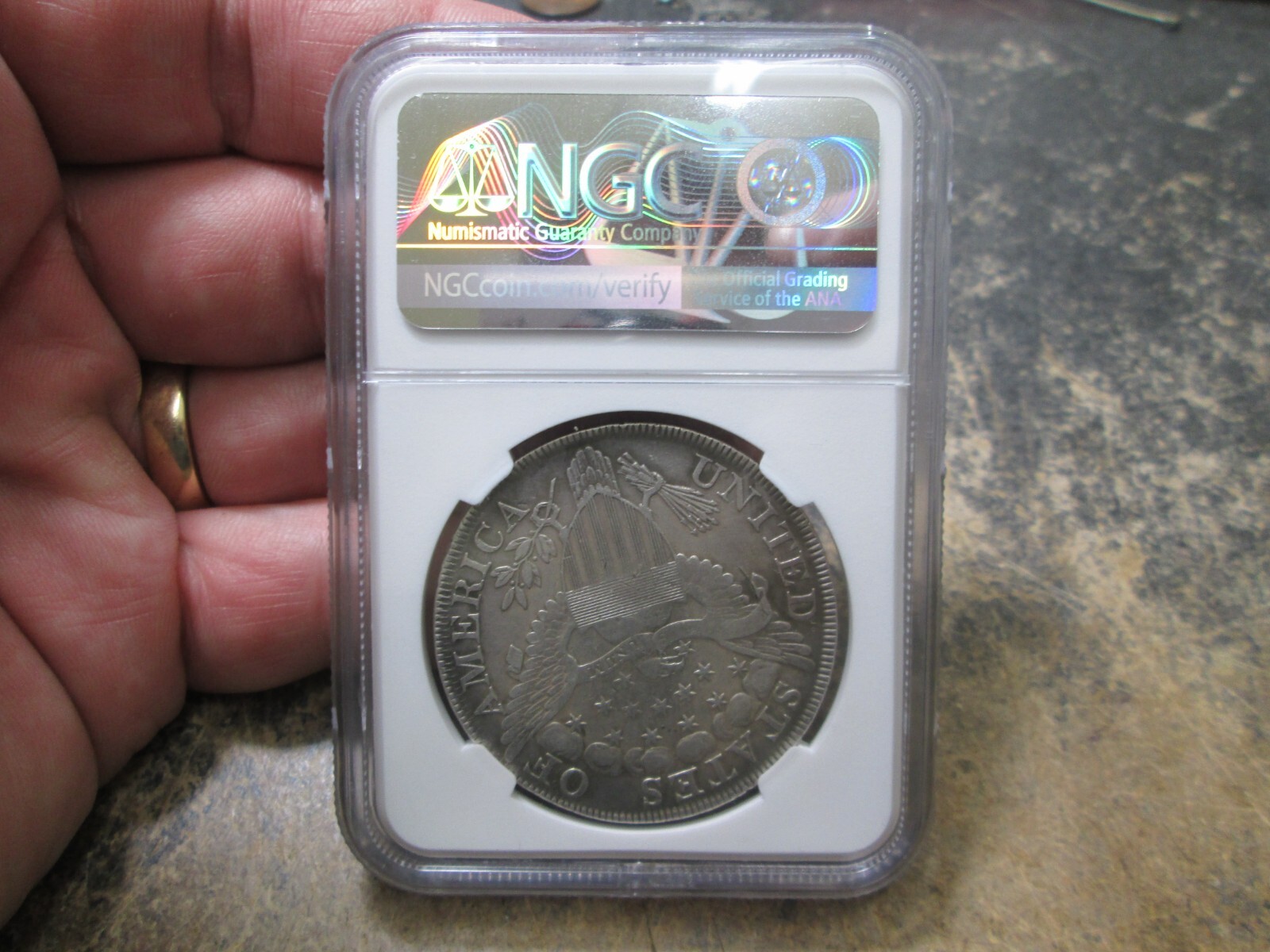 1799 US BUST Silver Dollar NGC VF VERY FINE CONDITION PLUGGED WHIZZED ...