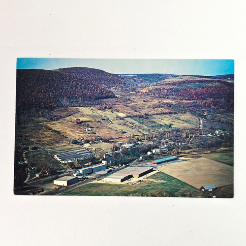 The Taylor Wine Co. Hammondsport NY Vintage Unposted Postcard | eBay