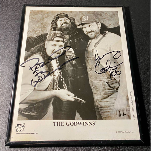 WWE The Godwins Dual Autographed Framed Picture | eBay