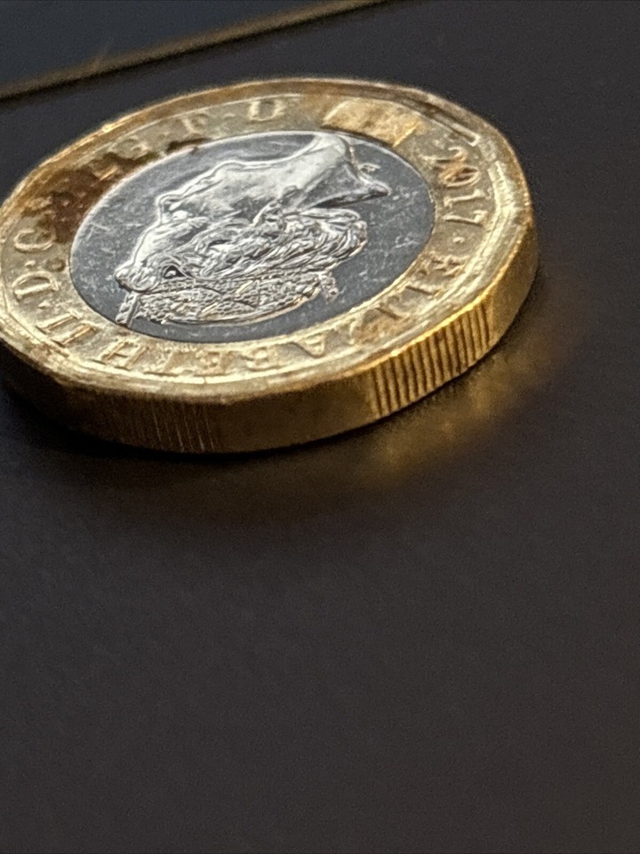 2017 £1 One Pound Coin Queen ELIZABETH II ONE POUND £1 coin Rare Find ...