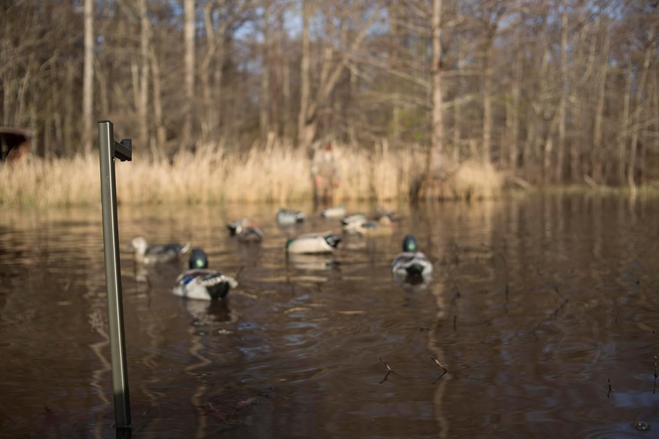 Waterfowl Decoys, Motion Systems & Spreader Accessories | eBay