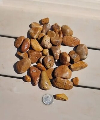 1 lb rough yellow feather jasper Stones from arizona For Tumble Or Hand ...