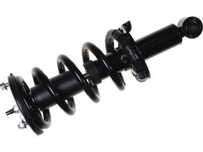 Front Strut and Coil Spring Assembly For 11-23 Infiniti QX56 QX80 ...