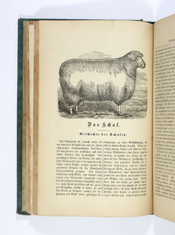 Antique 1892 St. Louis German FARMER ENCYCLOPEDIA Farming Garden Farmer ...