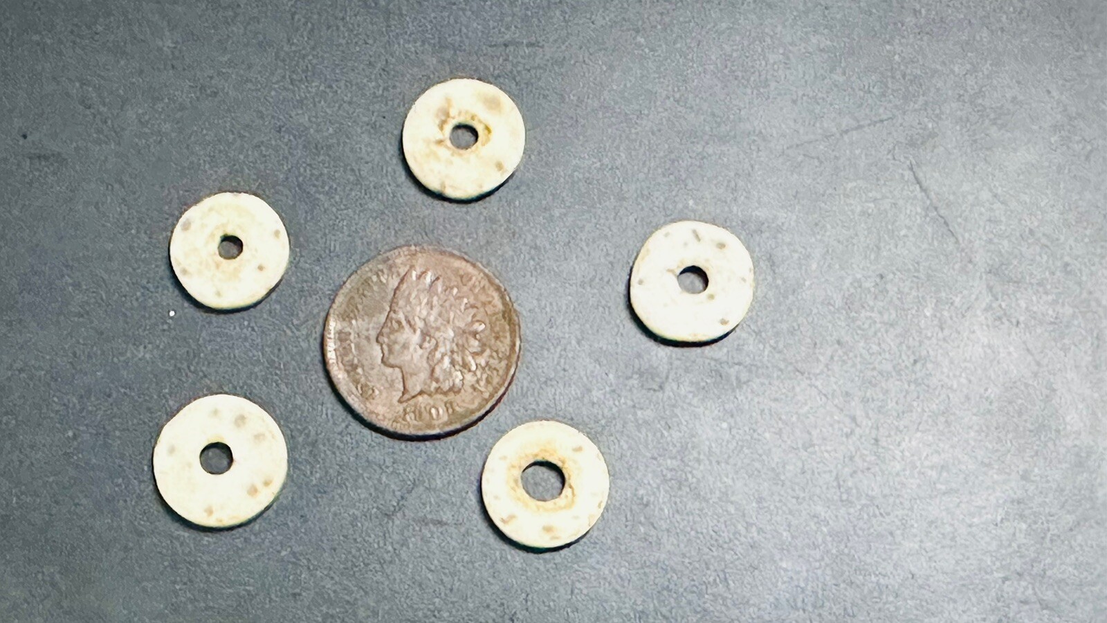 Fine Pre Historic Native American Indian , Shell Beads; Fox Field | eBay