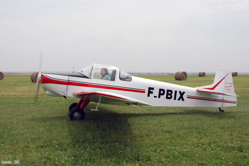 D-60 Condor Druine Light D60 Airplane Desktop Wood Model Regular Free ...