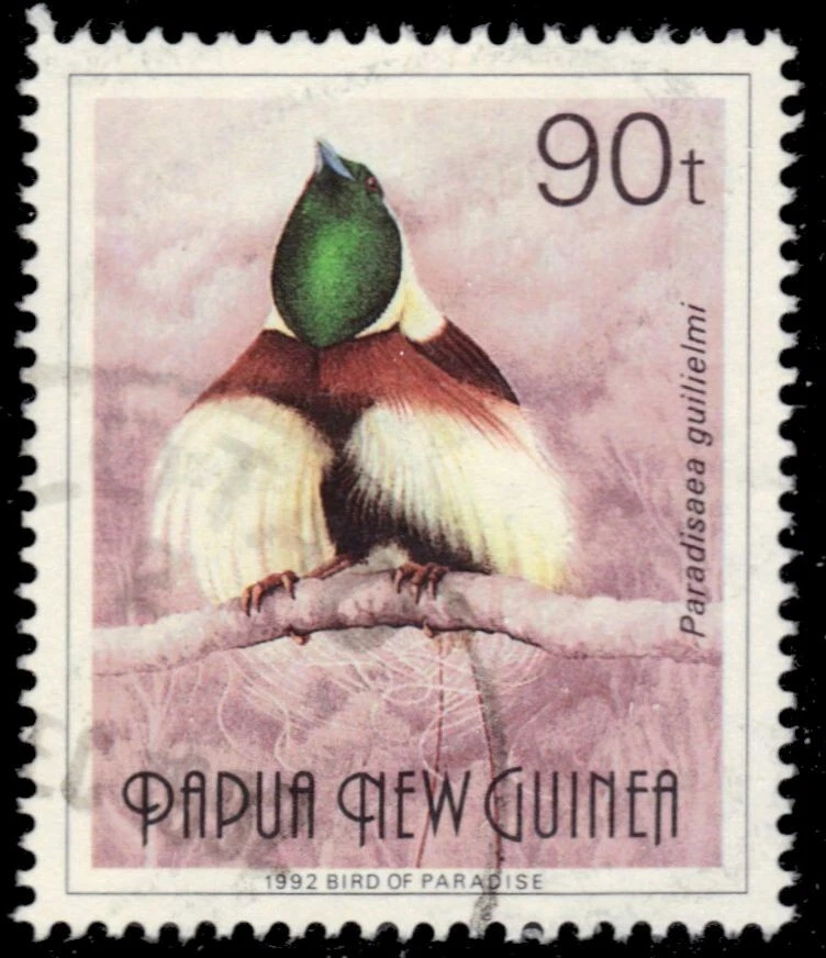 Emperor Bird Of Paradise