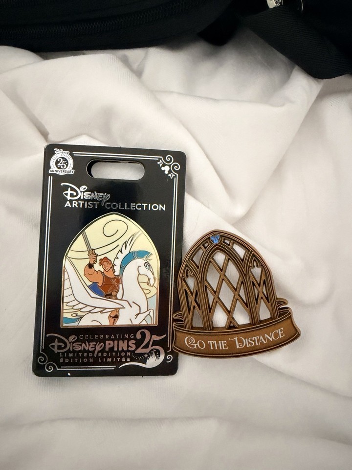 2025 Disney World Artist Series LE Magnet Pin 2 Pins Belle And Hercules | eBay