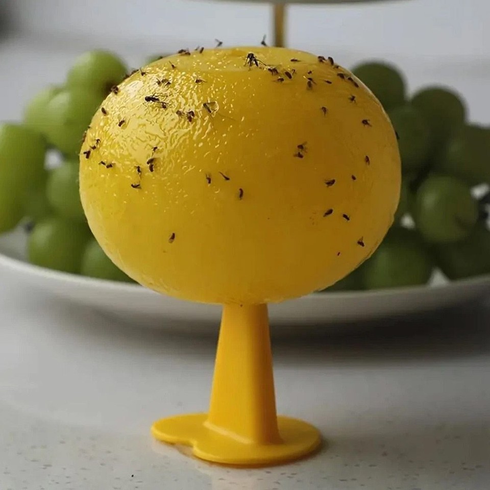 Fruit Fly Balls Fruit Fly Catcher Sticky Trap Insect Bees Fly Killer ...