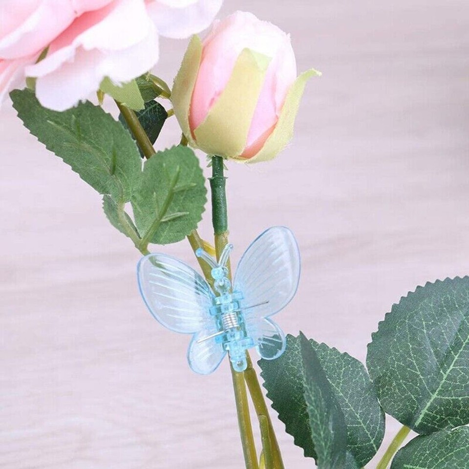 High Quality Plastic Clips for Your Orchids Flowers and Vines Pack of ...