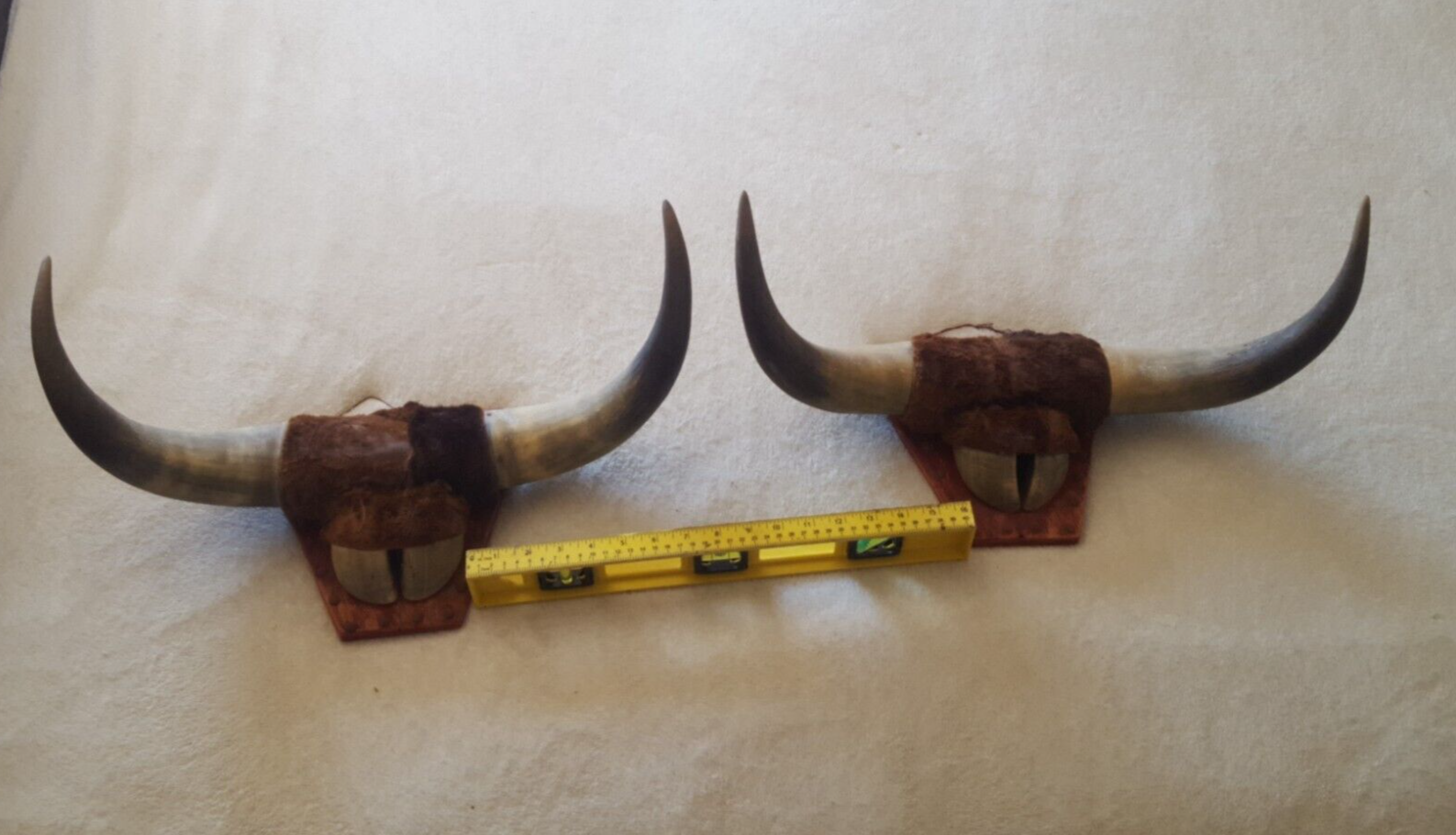 Vtg. Bison/ Buffalo/ Steer Horn & Hoof Mounts-matched pair-Cabin - Man ...