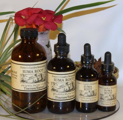 SUMA ROOT Extract Energy Potent Stress Relief Organic Folk Remedy ...
