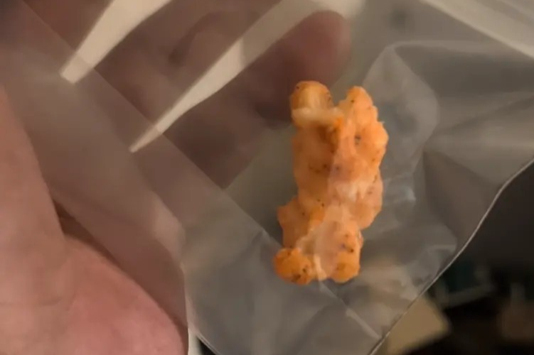 Cheeto shaped like Koala Baby Bear! | eBay
