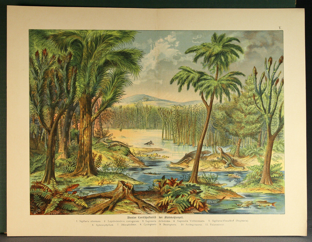 PREHISTORIC PRINT ANTIQUE CHROMOLITHOGRAPH RARE KENNGOTT OVERSIZE ...