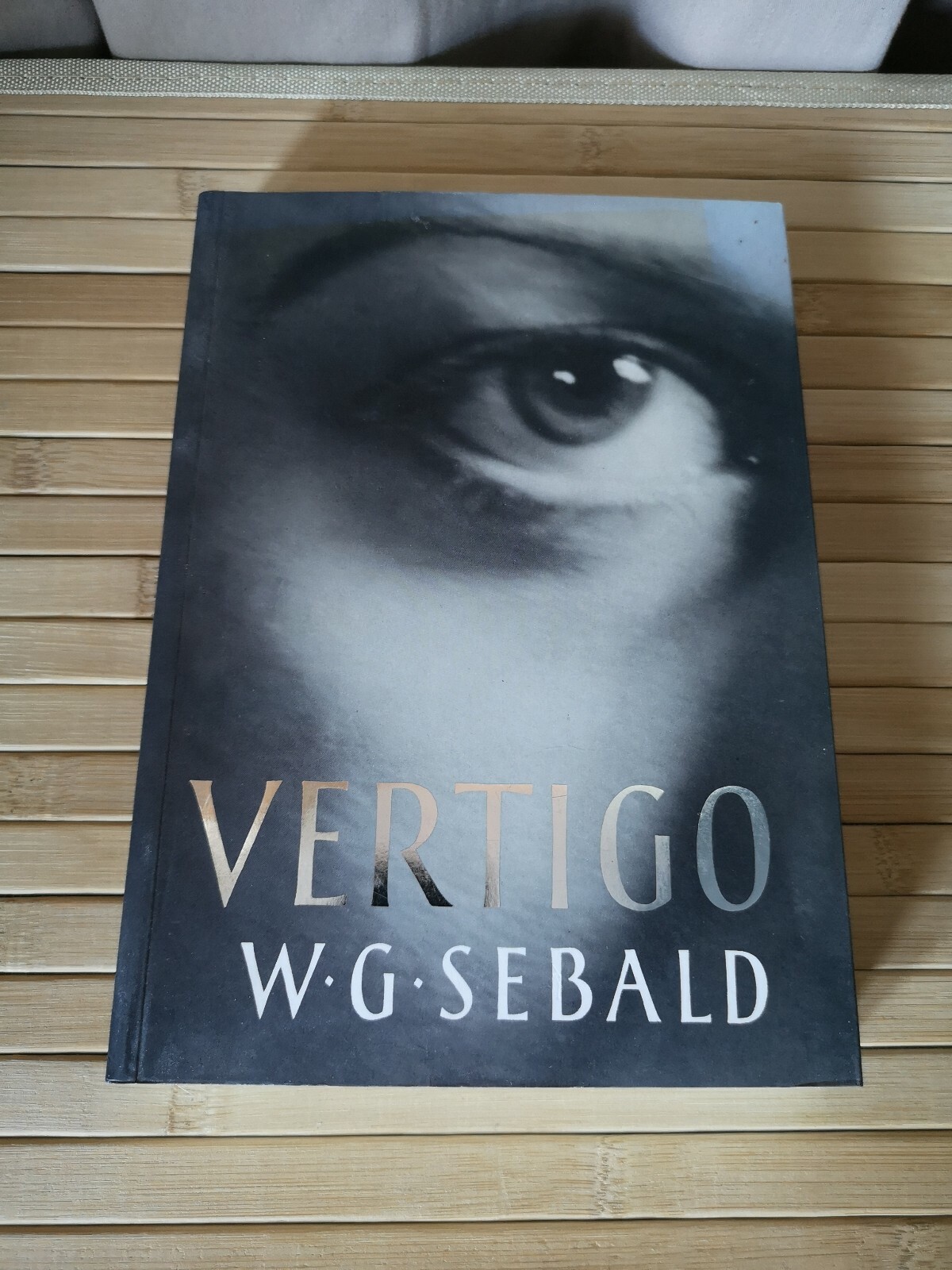 Vertigo by W. G. Sebald (1999, Paperback) for sale online | eBay UK
