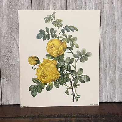 Vintage NOS - Yellow Roses 5.75x4.75 Litho Print - Nature Botanical ...