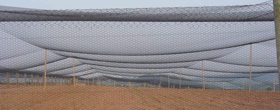 Poultry Netting 25' x 25' 1" Heavy Knotted Aviary Nets Anti Bird ...