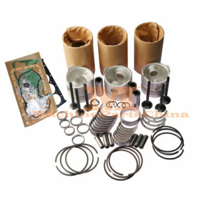 Overhaul Kit for Caterpillar 3003 Engine 301.5CR 301.6C 301.8C Mini ...