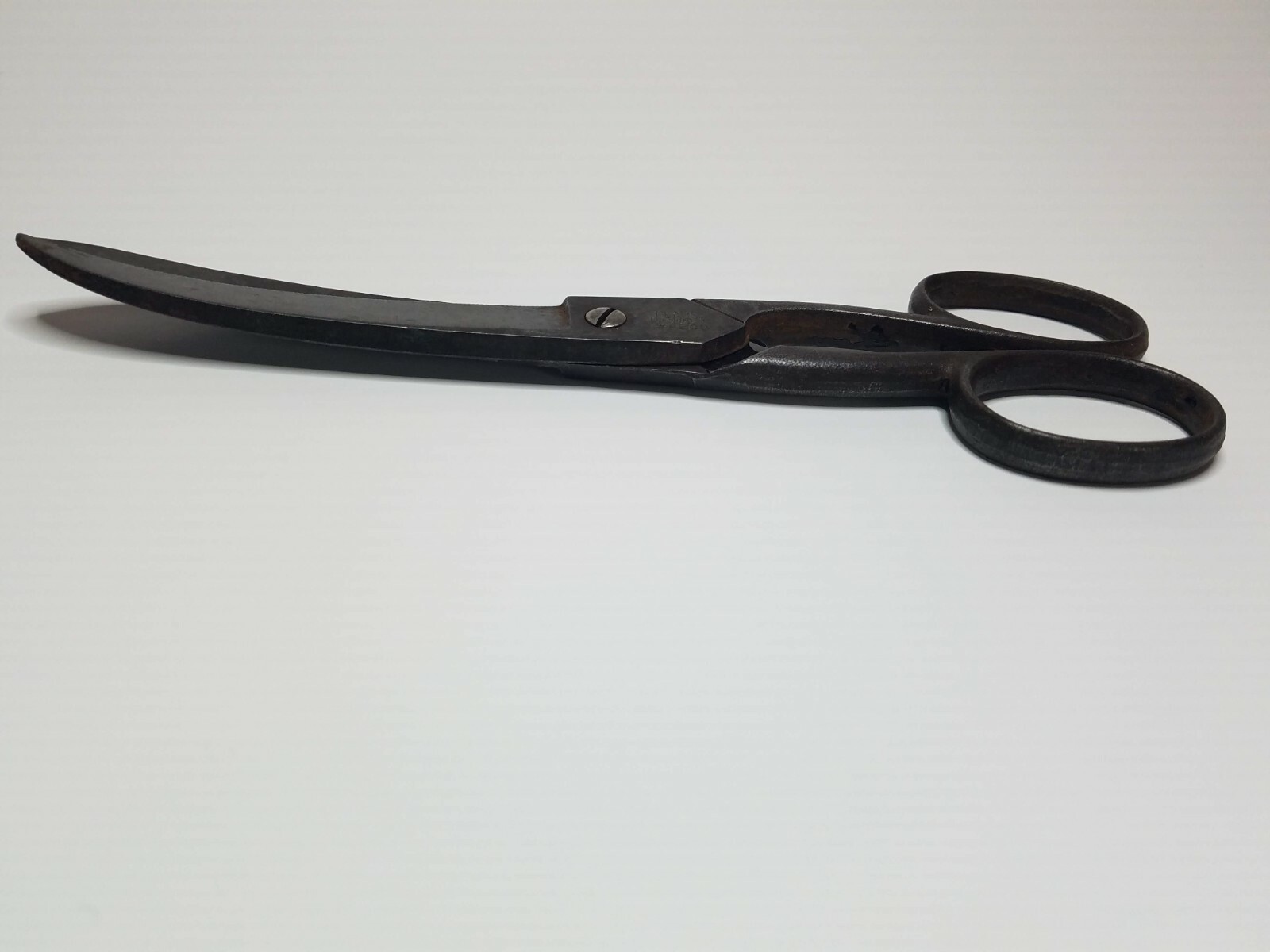 Clauss Stainless Steel Curved Scissors Fetlock Shears Serrated 8 ...