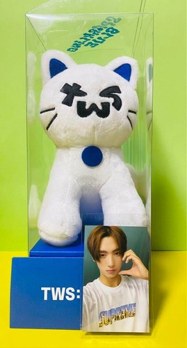 TWS Mini Fanmi Plush Toy Yeongjae Sanok | eBay