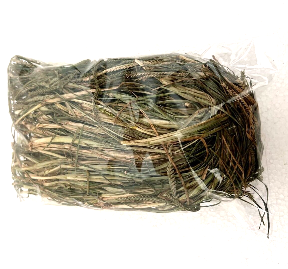 Dried Paragis Plant Eleusine indica GooseGrass Ayurvedic Poaceae Herbal ...