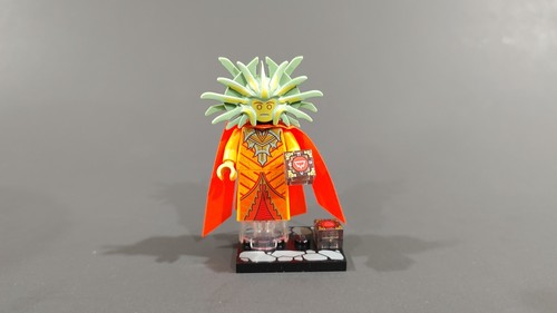 Lego 71047 Minifigure Series 27 Dungeons & Dragons Lady of Pain | eBay