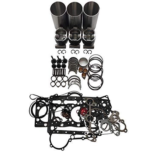 3013C Overhaul Rebuild Kit for Caterpillar CAT 3013C Engine Mini ...