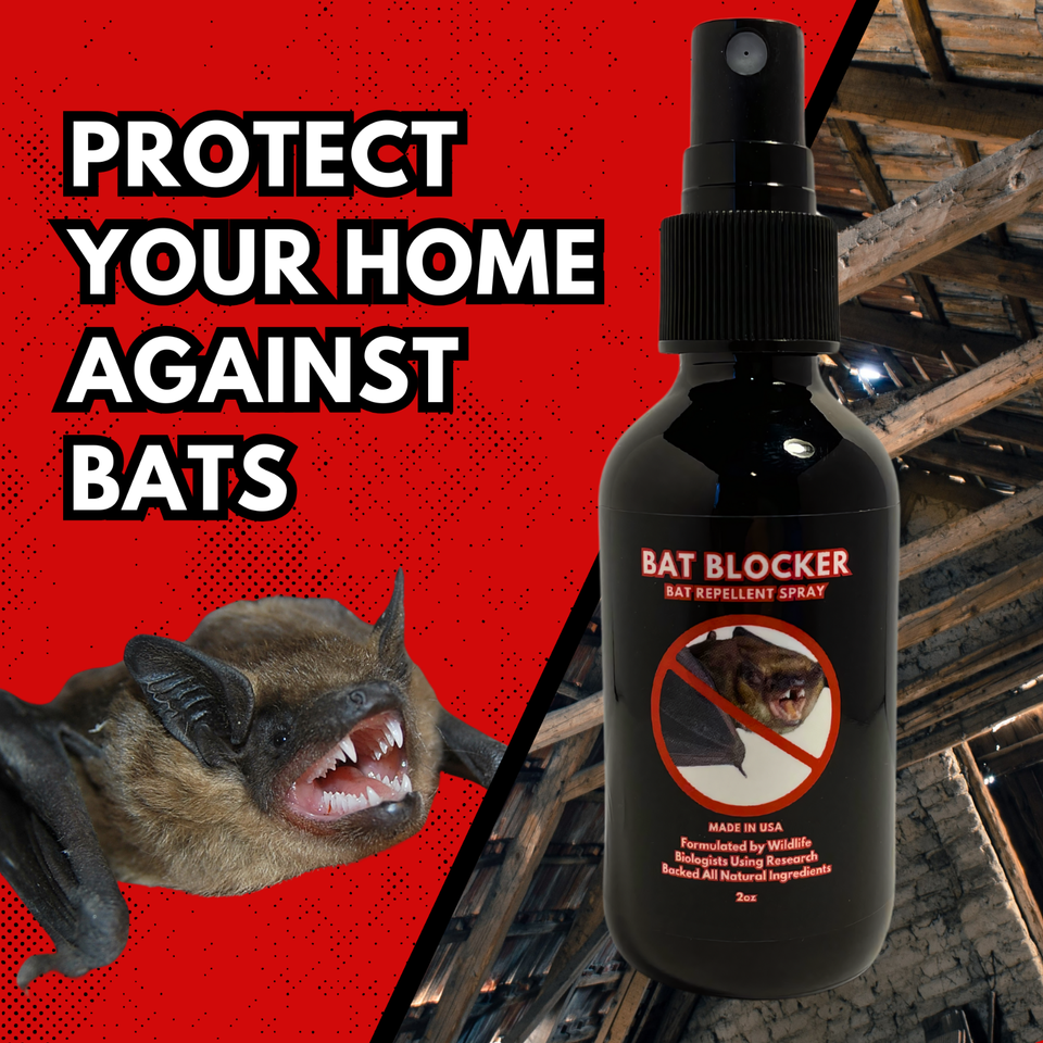 Bat Blocker - Bat Repellent Spray - Non-Toxic Repellent for Pest ...