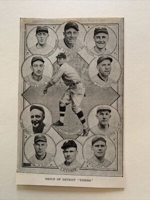 Detroit Tigers Rip Collins Earl Whitehill F Haney 1924 Baseball Team ...