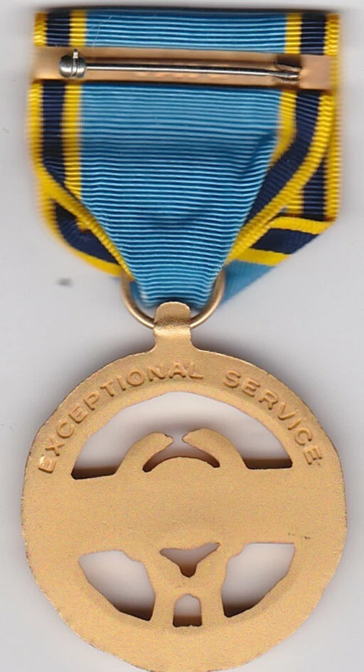 Nasa Flight Medal