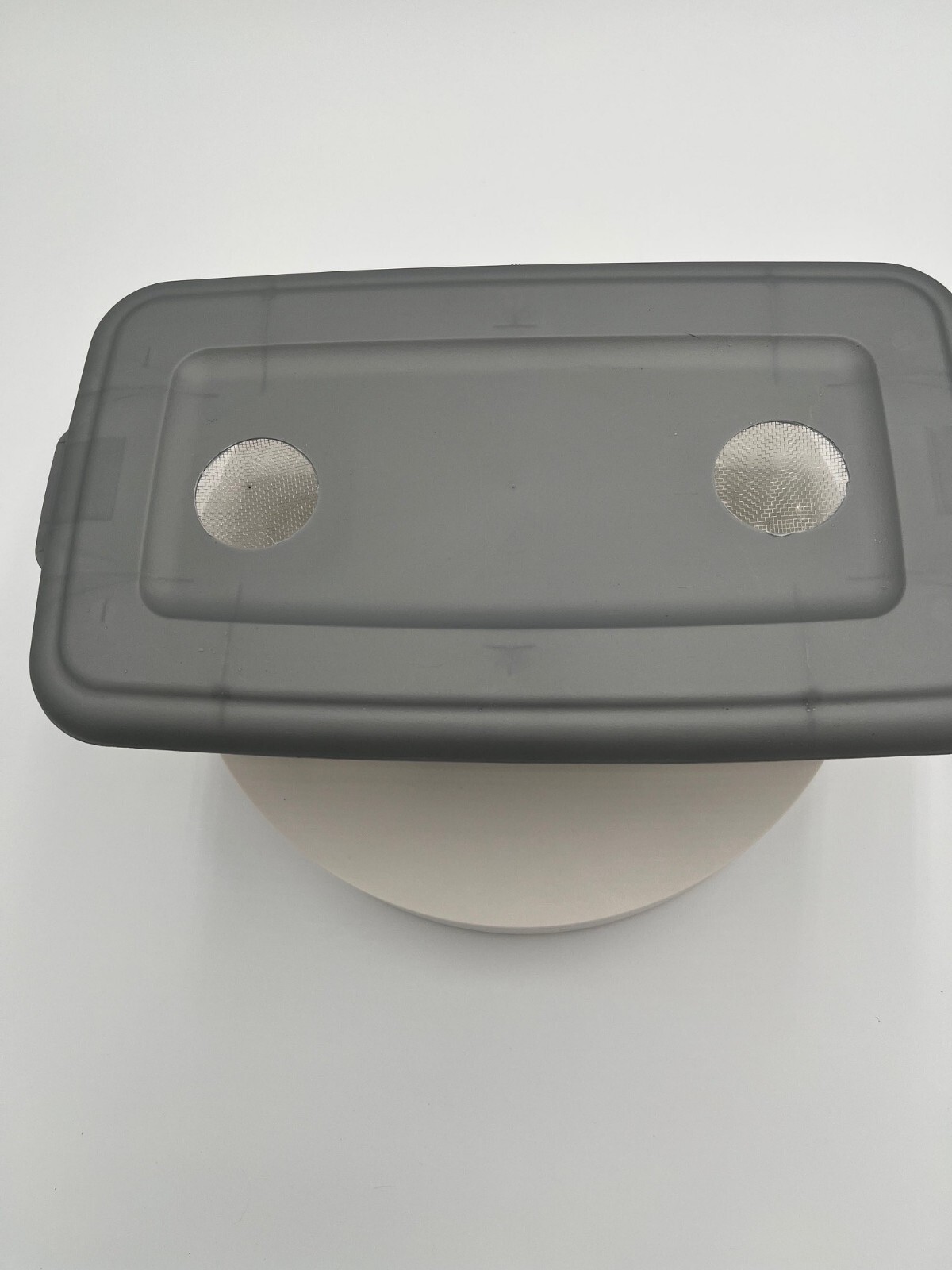 insect enclosure 6 qt Isopod Terrarium Box - Fully Vented | eBay