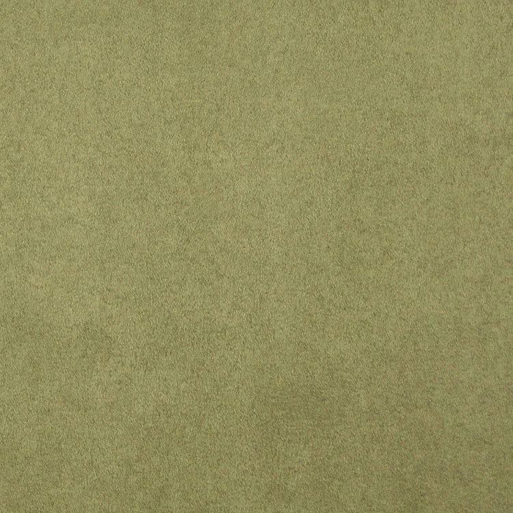 Dusty Olive Color