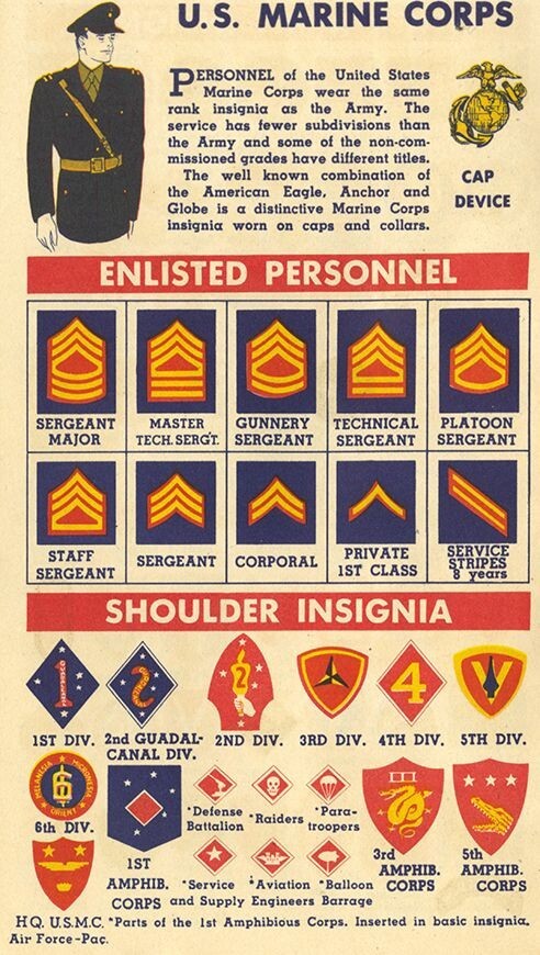 United States Army Enlisted Rank Insignia Of World War Ii Military