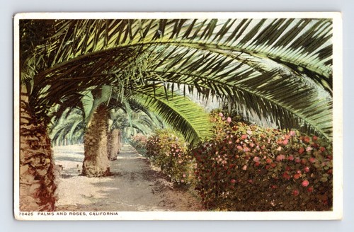 Postcard California Palm Trees Roses 1910s Divided Back | eBay