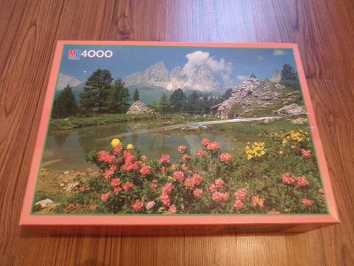 Puzzle 4000 pièces MB | eBay