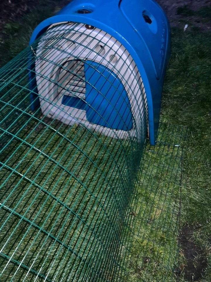 Omlet Eglu Go UP Chicken Coop – Complete Setup with Accessories - clips ...
