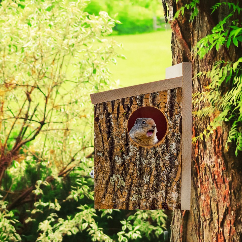 Squirrel Nesting Box, Handcrafted Wood Winter Outdoor Shelter | eBay