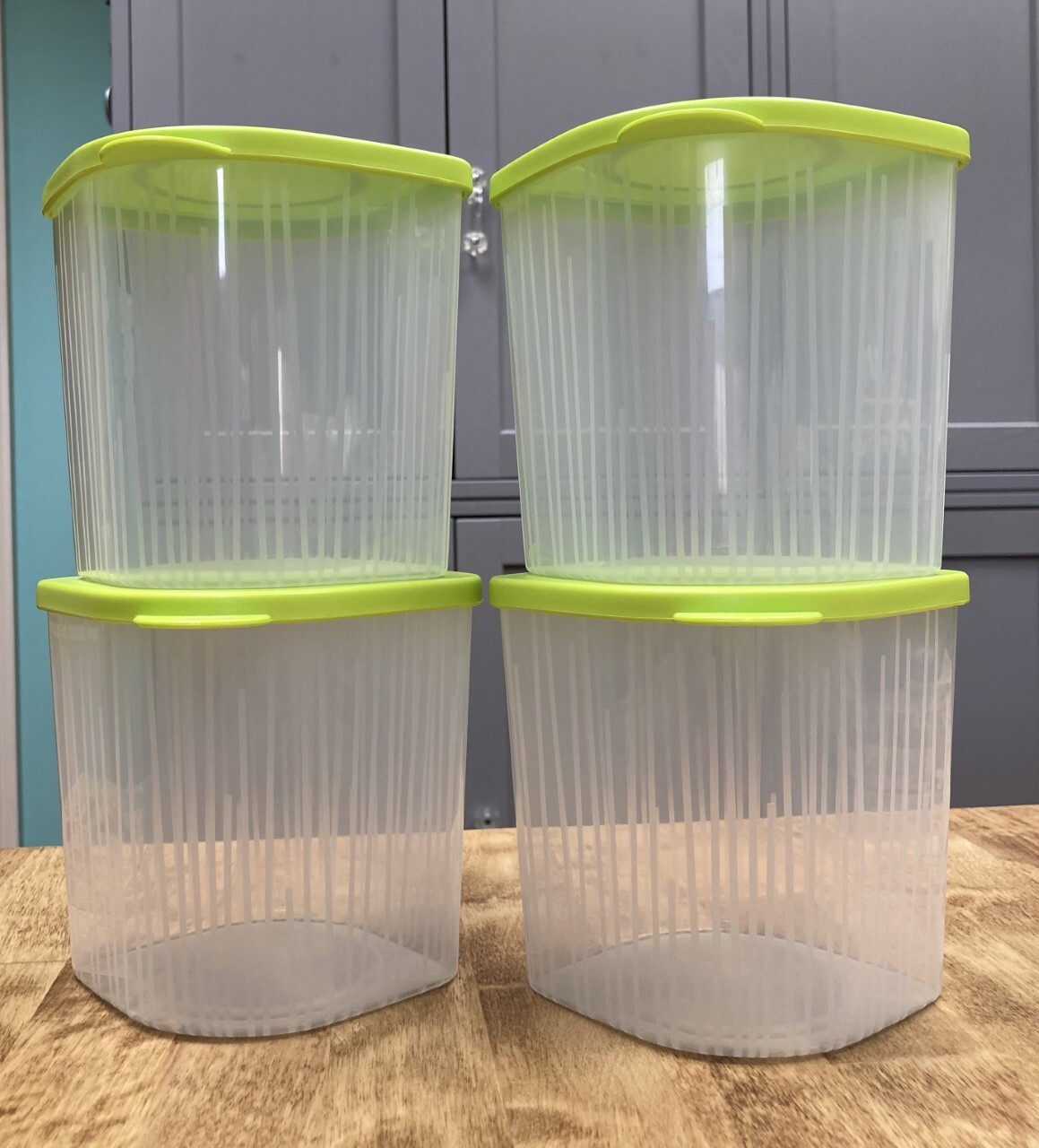 Tupperware Fresh 'N Cool Medium Containers-NEW-SHIPPING INCLUDED | eBay