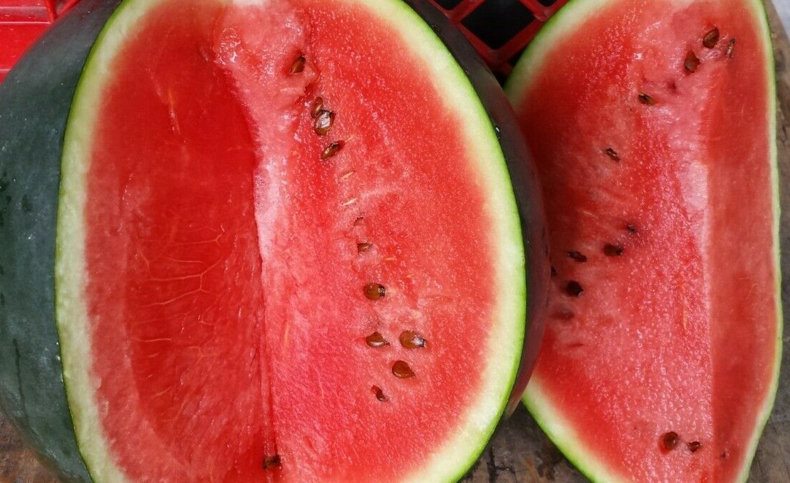 50+ SEEDS SUGAR BABY WATERMELON SUPER SWEET FRUIT HEIRLOOM NON-GMO ...
