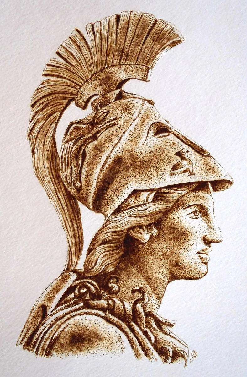 Athena Sketch