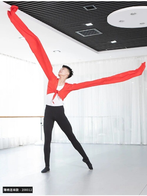 Men Boy Ballet Dance Thin T Crotch Leggings Gymnastics Dance Ballet ...