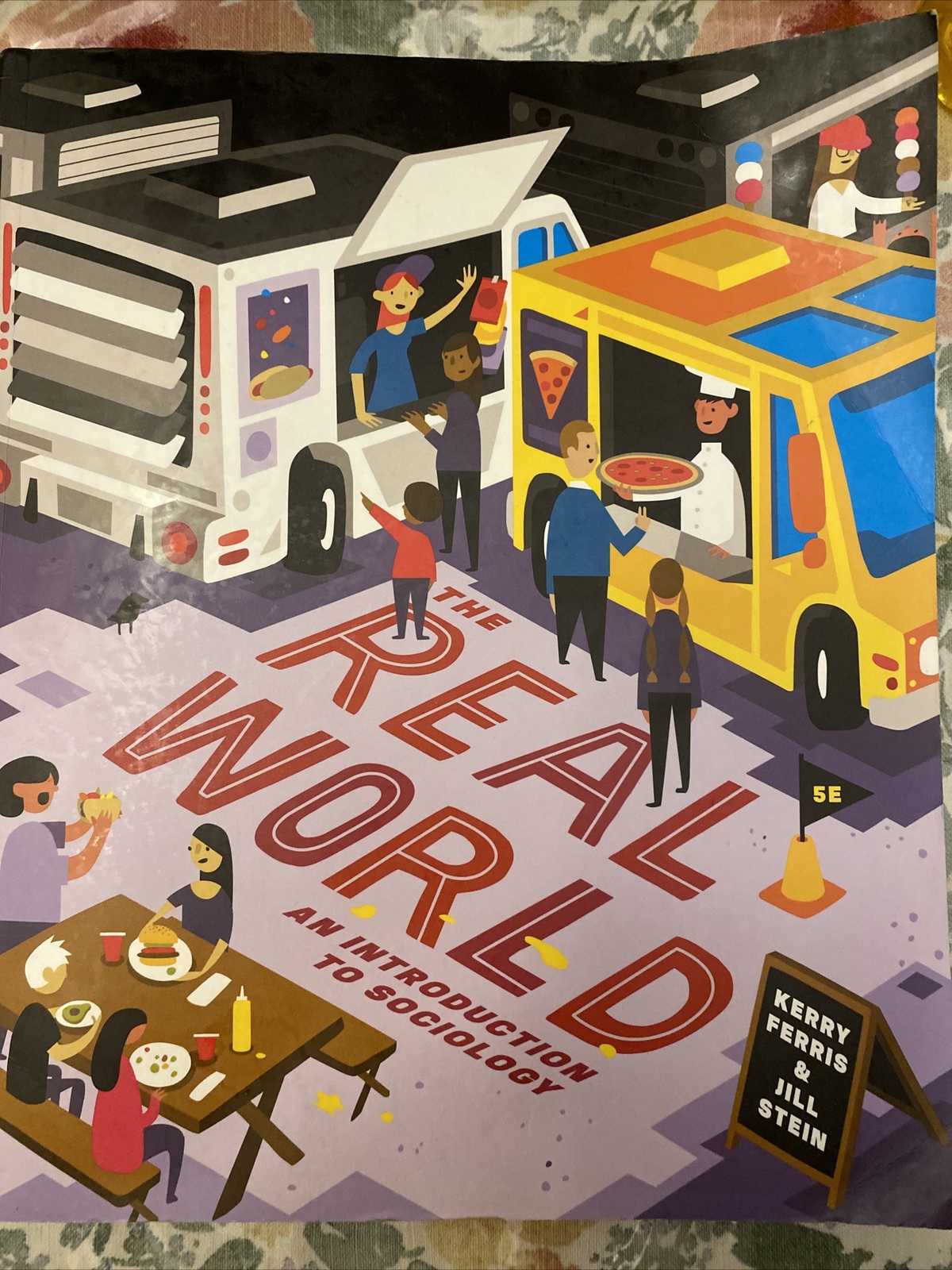 The Real World : An Introduction to Sociology by Jill Stein and Kerry ...